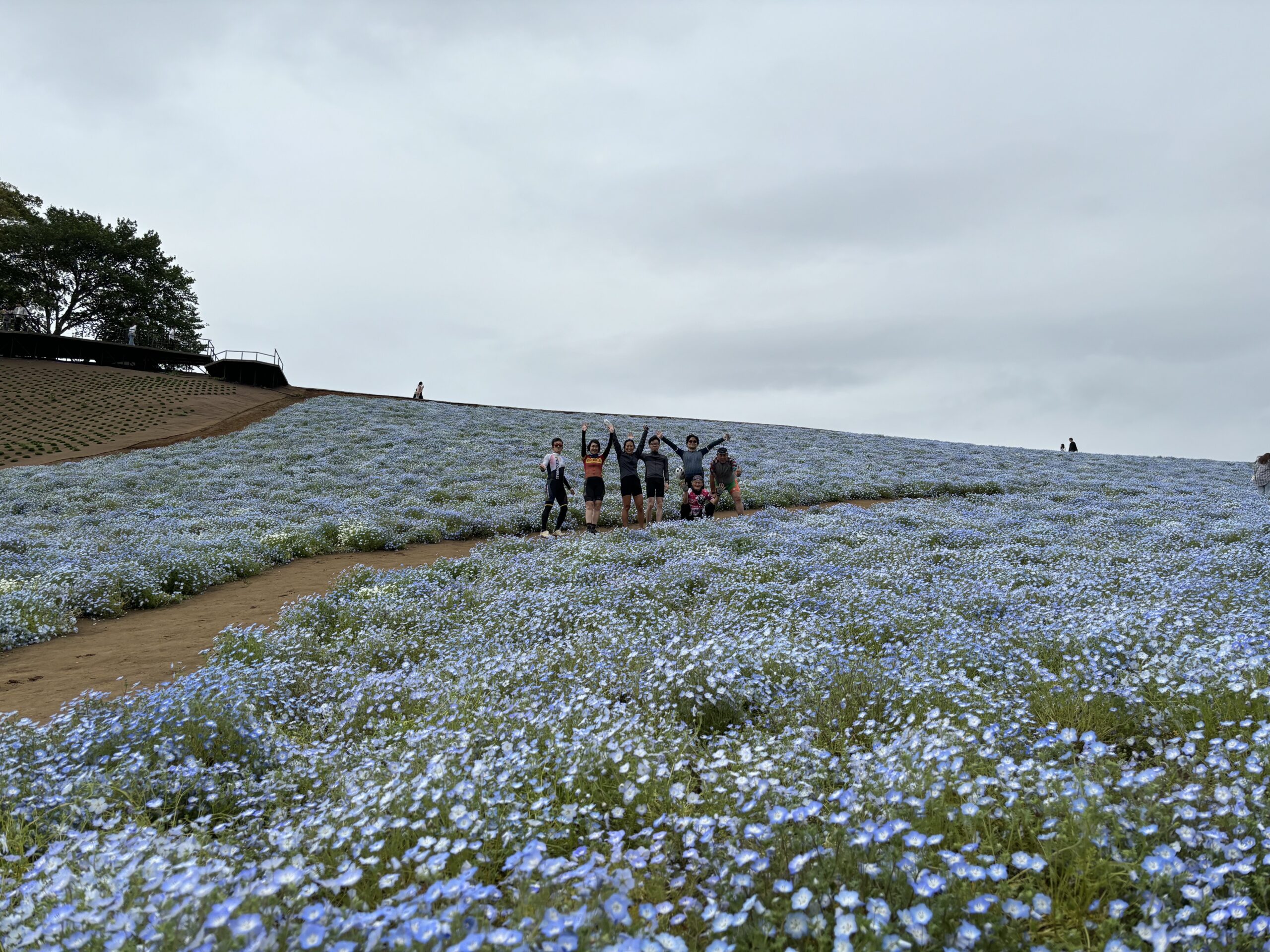 千葉にてサイクリングイベントを開催！｜NEWS｜JCL｜自転車ロードレースリーグ