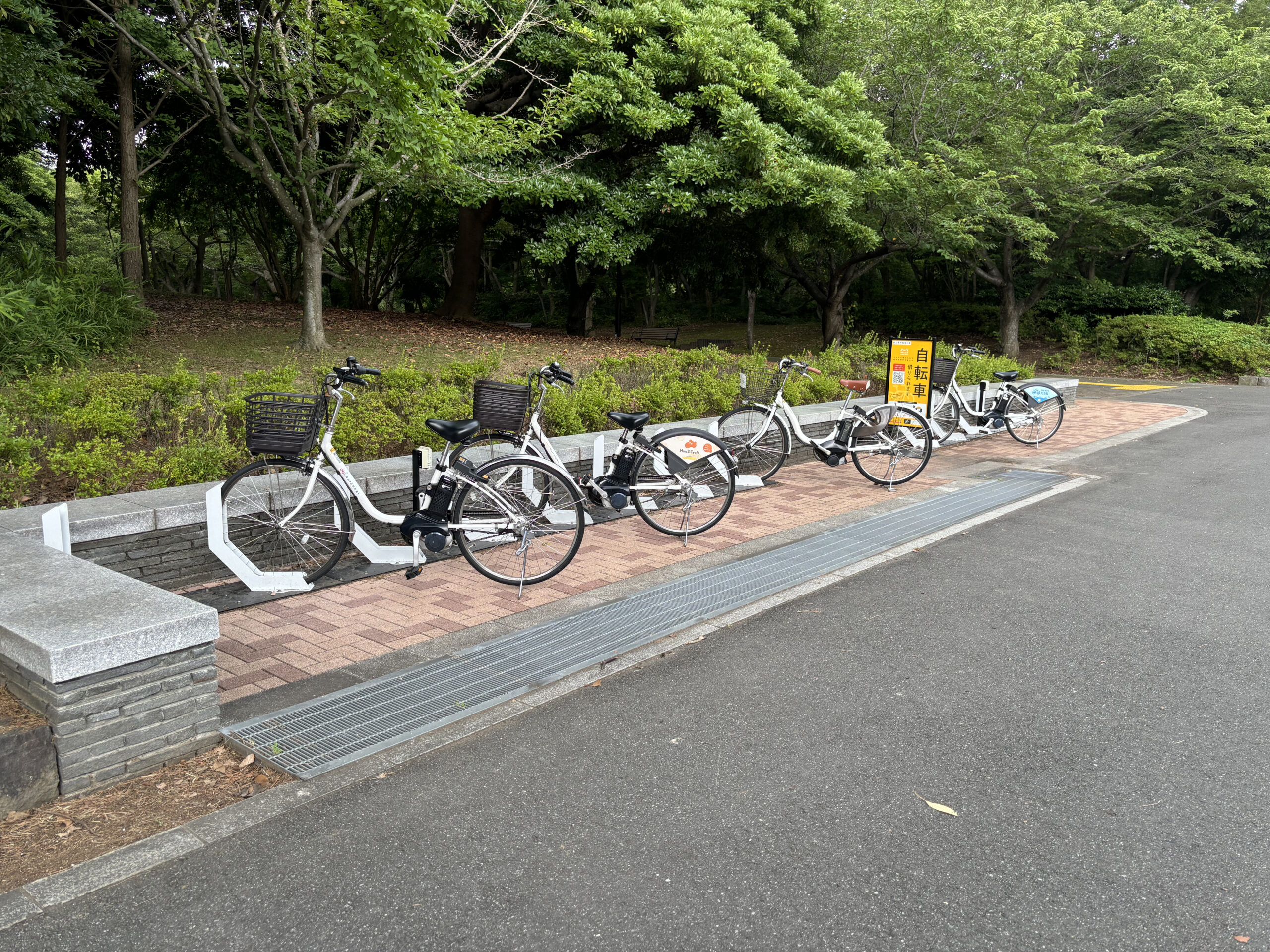 【イベント募集中】8/3 ディズニーコスプレサイクリング！｜NEWS｜JCL｜自転車ロードレースリーグ